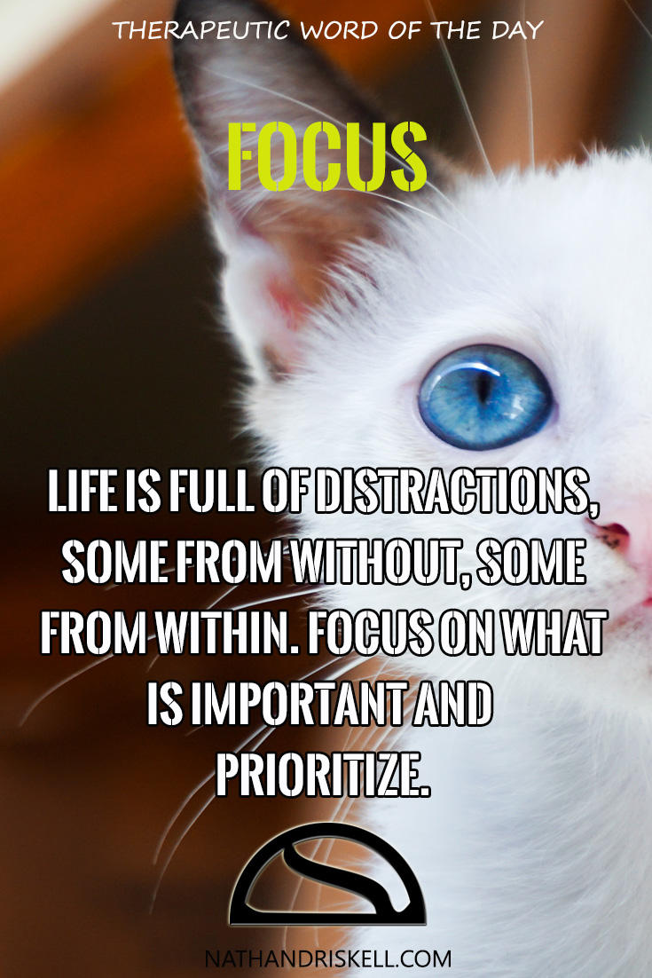 Therapeutic Word of the Day: Focus - Nathan Driskell Therapy