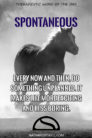 Therapeutic Word of the Day: Spontaneous - Nathan Driskell Therapy